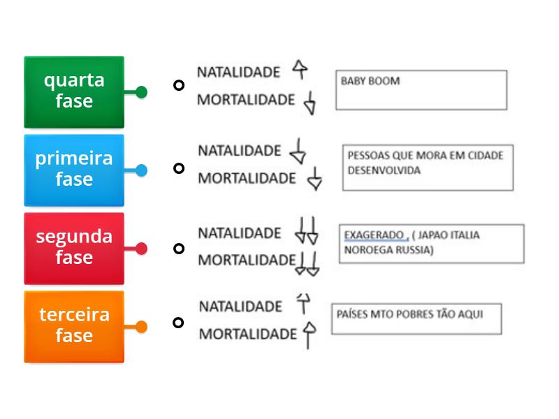 Pirâmides etárias - suas 4 fases - Labelled diagram