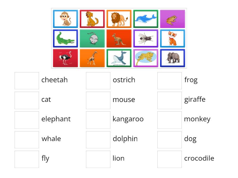 Task 1 (matching activity) - Une las parejas