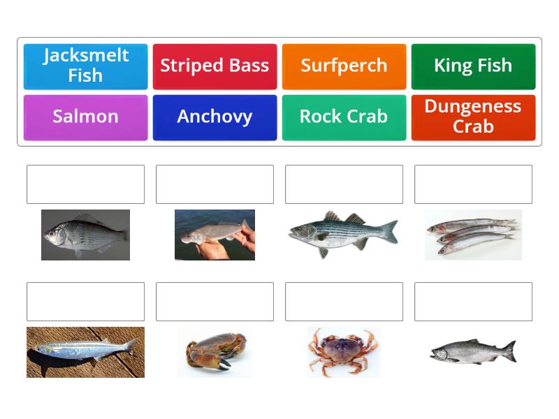 Crab and Fish Types (Pacifica Pier) - Une las parejas