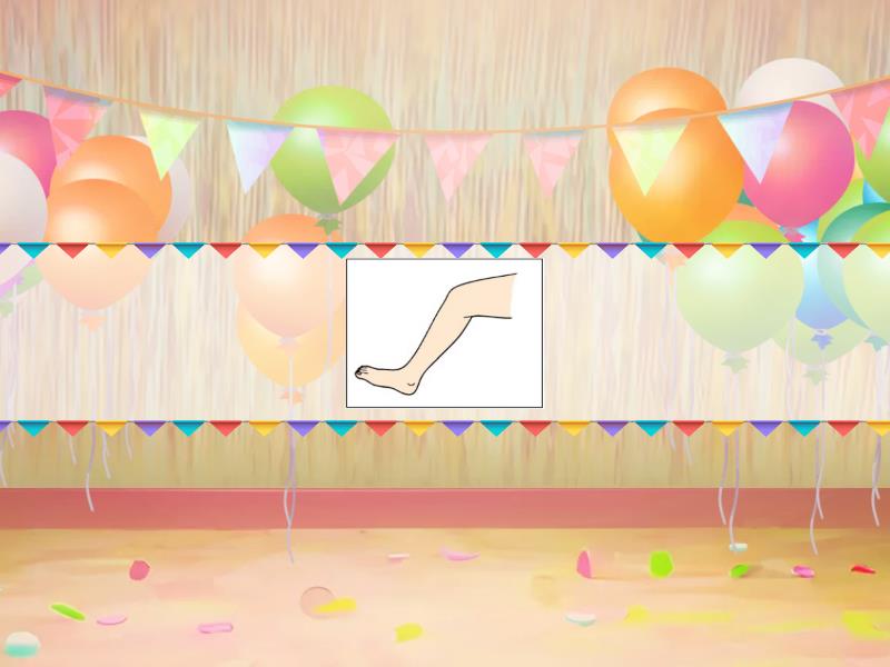 LT - Unit 3 - Body and Numbers - Watch and memorize