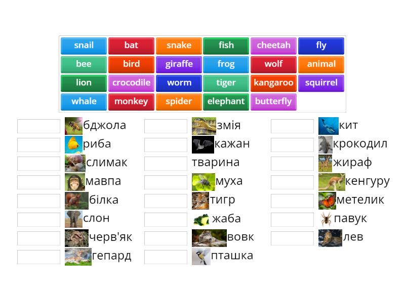 Go getter 1 Unit 7 Animals - Match up