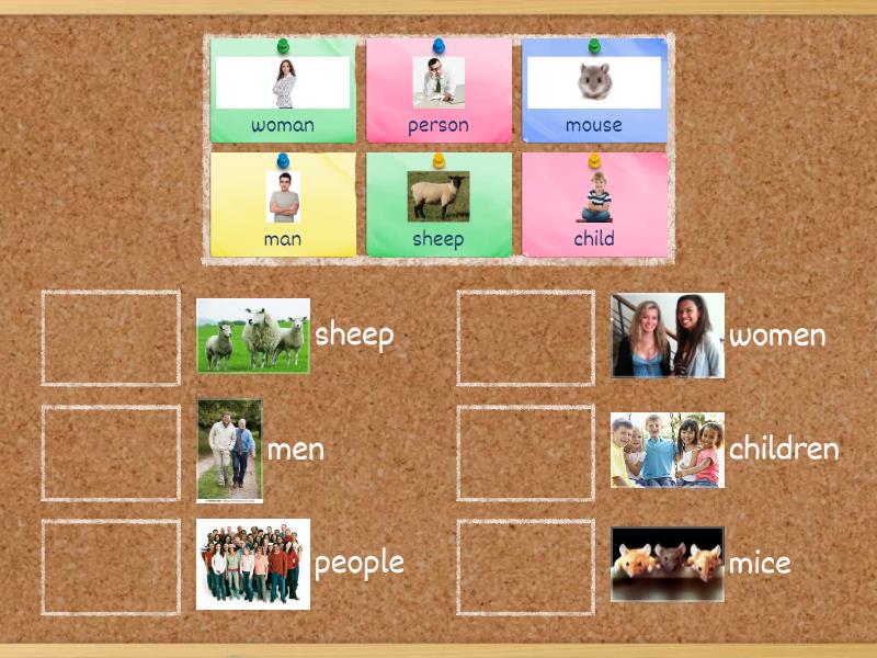 Quick minds 2 Irregular plurals - Match up
