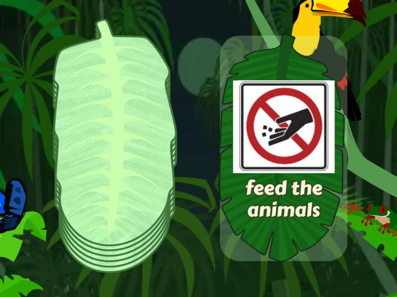 Lesson 16. At the zoo (read the information signs) - Speaking cards