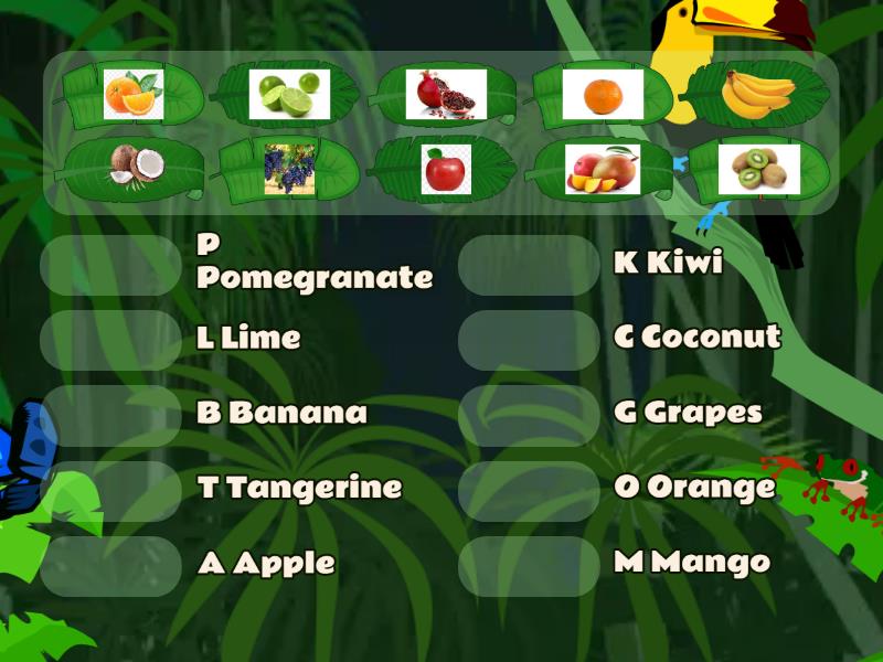 A1 review Fruits - Match up