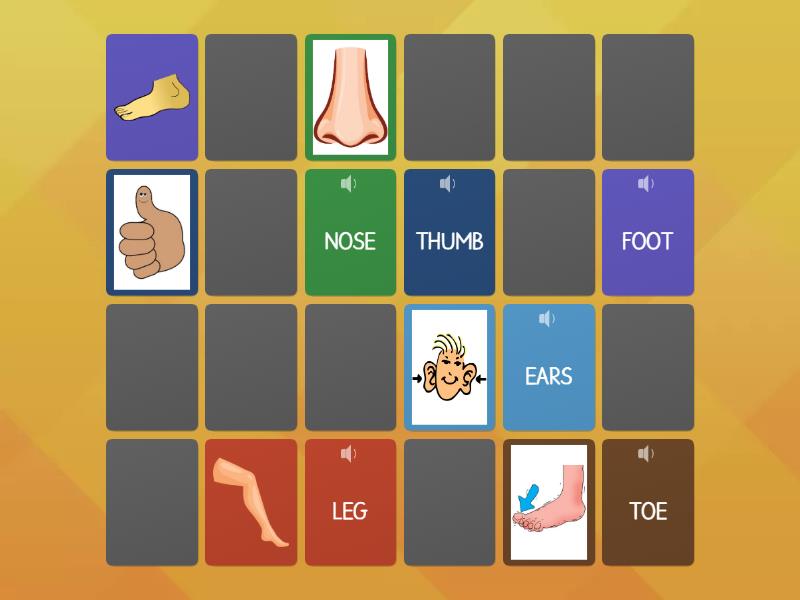 My body - Matching pairs