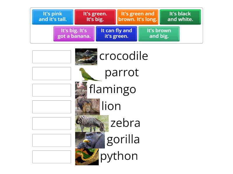 Explore Together 2 - Unit 4 - Match up