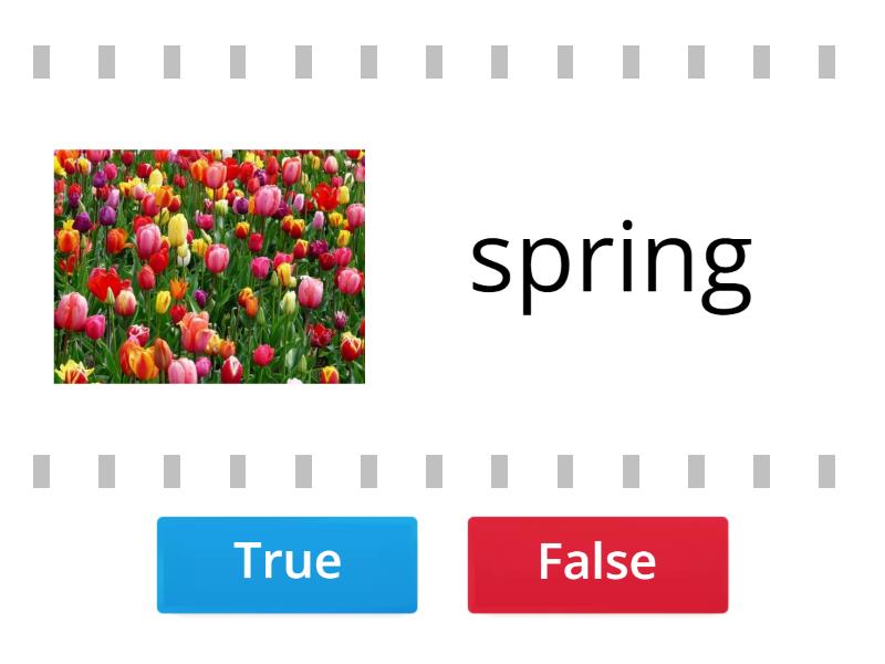 SEASONS - True or false