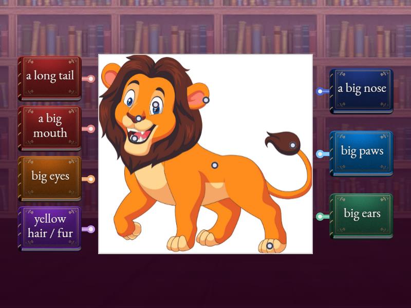 Where Am I? - Lion Body Parts - Labelled diagram