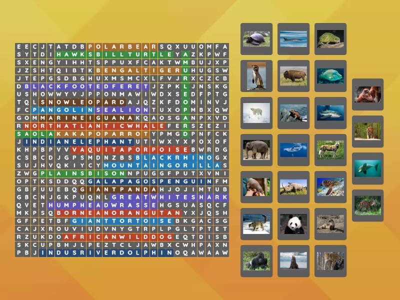 Endangered Species Word Search - Wordsearch