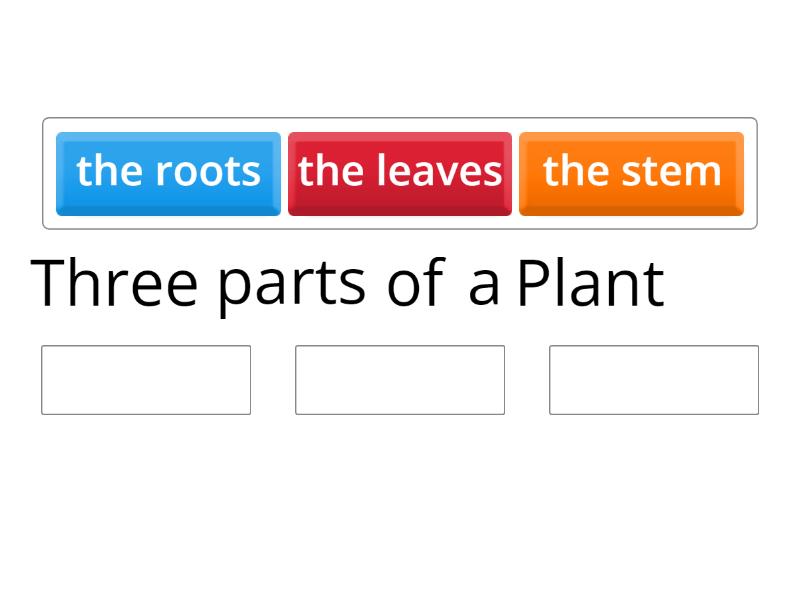 Plants - Complete the sentence