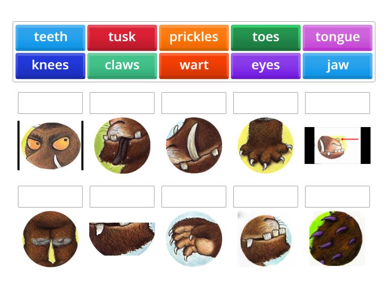 GRUFFALO BODY PARTS - Match up