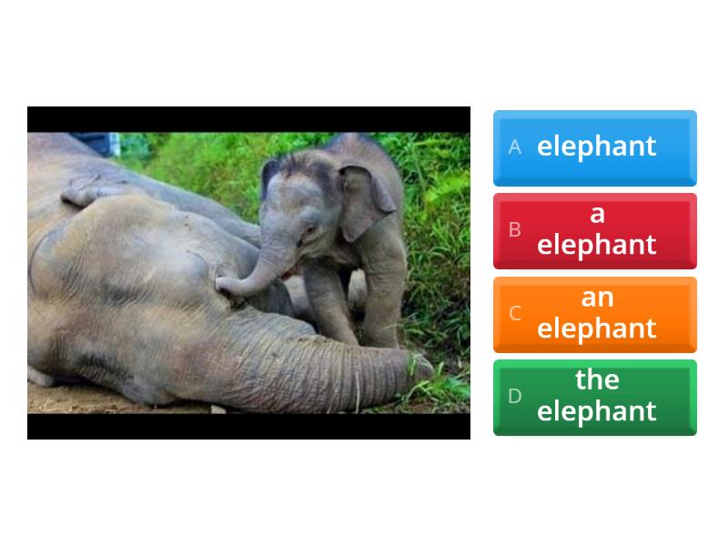 Bahasa inggris - Quiz
