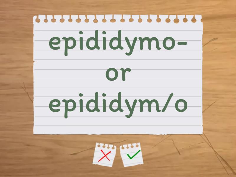 Genitourinary System - Flash cards