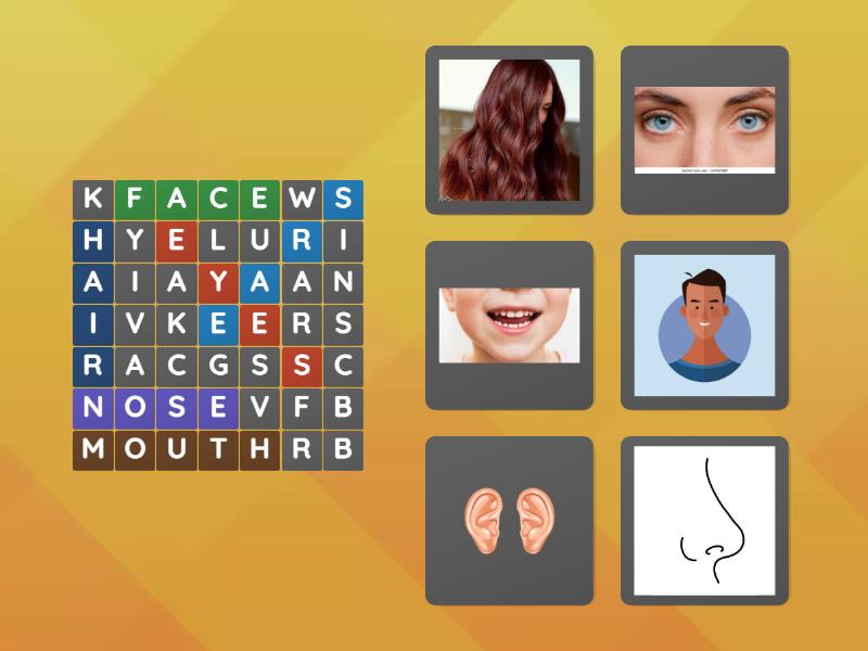 Face+ - Wordsearch