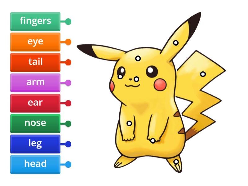 Pikachu Body Parts - Labelled diagram
