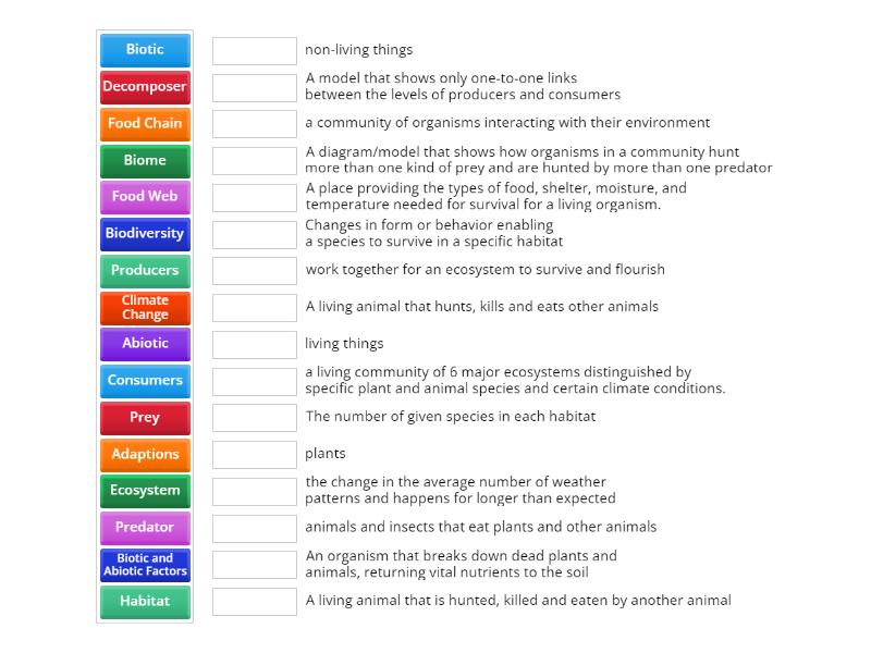 Study Jams Ecosystem vocabulary - Match up