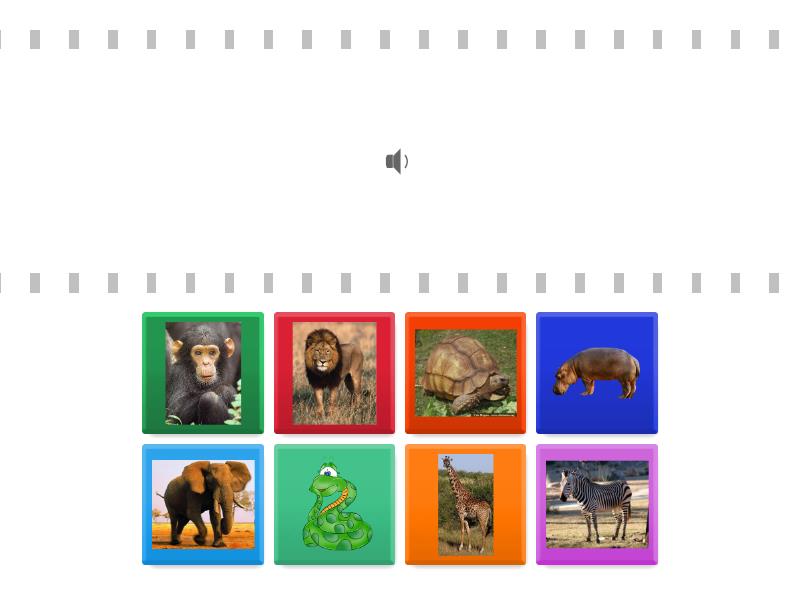 Wild Animals ( Shine on , unit 6) - Find the match