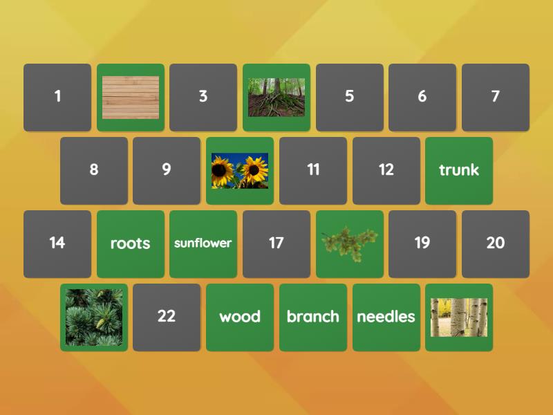 Trees - Matching pairs