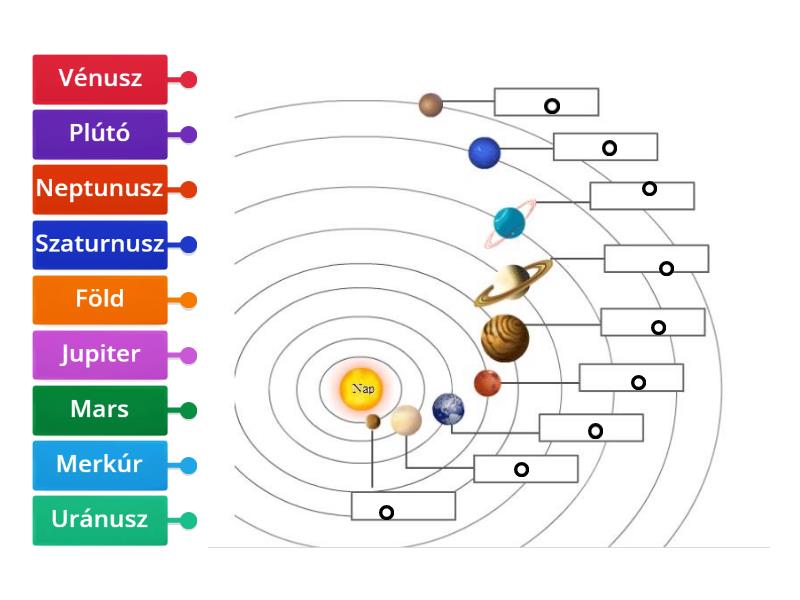 Naprendszer - Labelled diagram