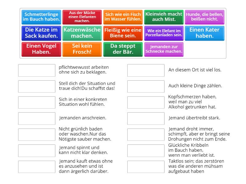 Redewendungen mit Tieren - Match up