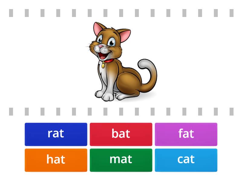 cat-bat-hat-mat-fat-rat_find and match - Find the match