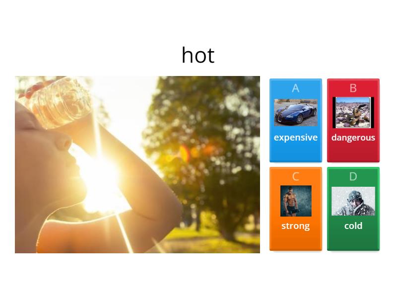 EF Elementary 4B Adjectives - Quiz