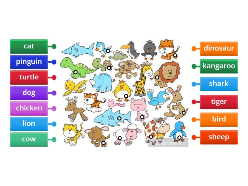 Animals - Labelled diagram