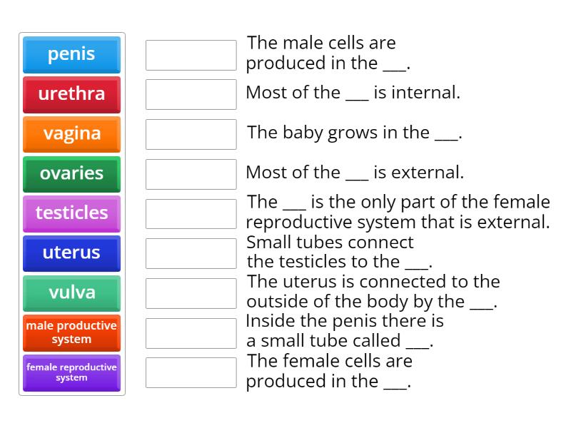Natural science 3rd grade reproductive system - Associação