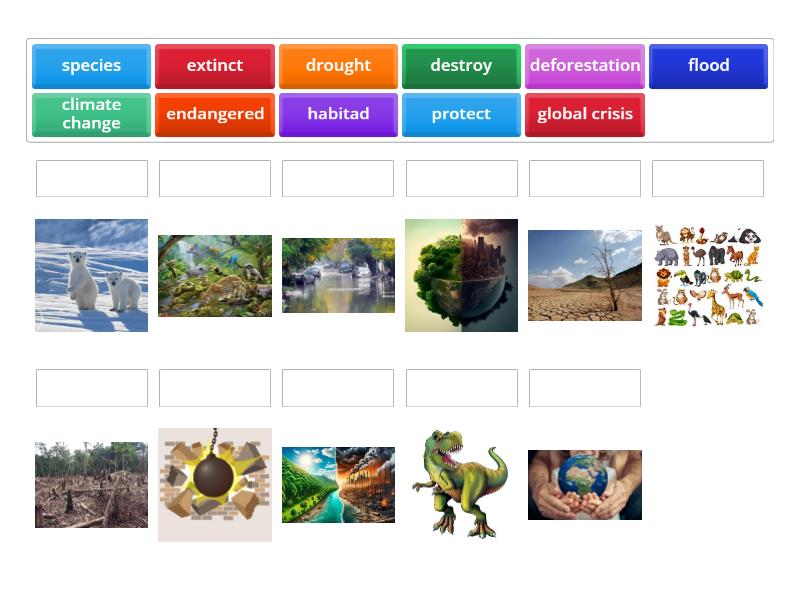 protect our planet earth - Match up