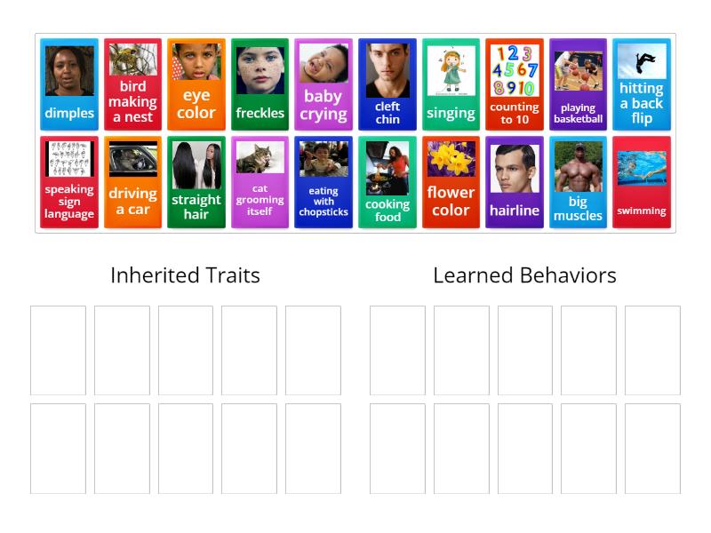 Inherited Traits and Learned Behaviors - Group sort