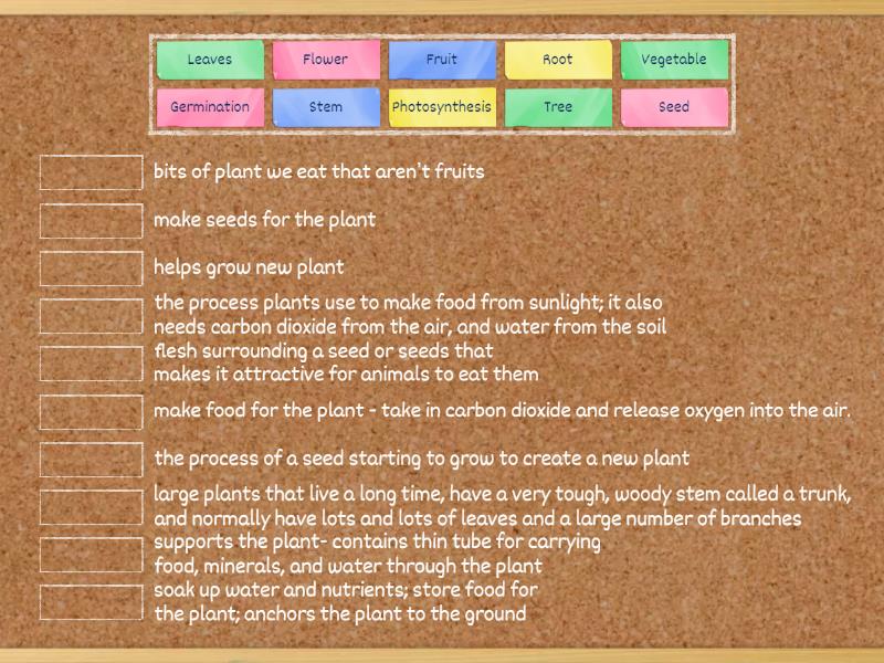 Science Vocabulary: Plants (Harris University) - Match up
