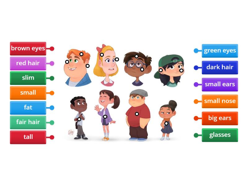 Physical description matching - Diagrama con etiquetas