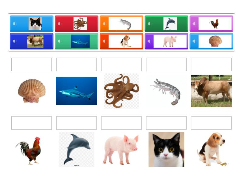 Match identical animals - Match up