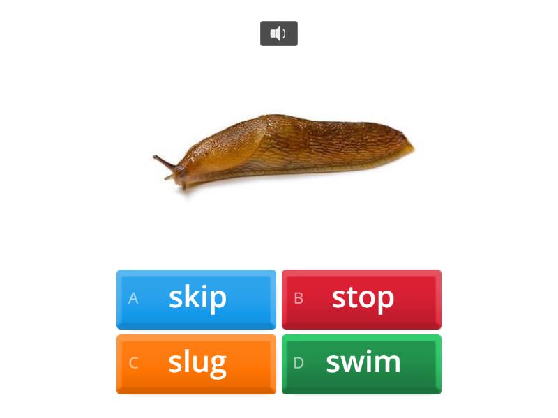 Initial S Blends - IMSE - Quiz