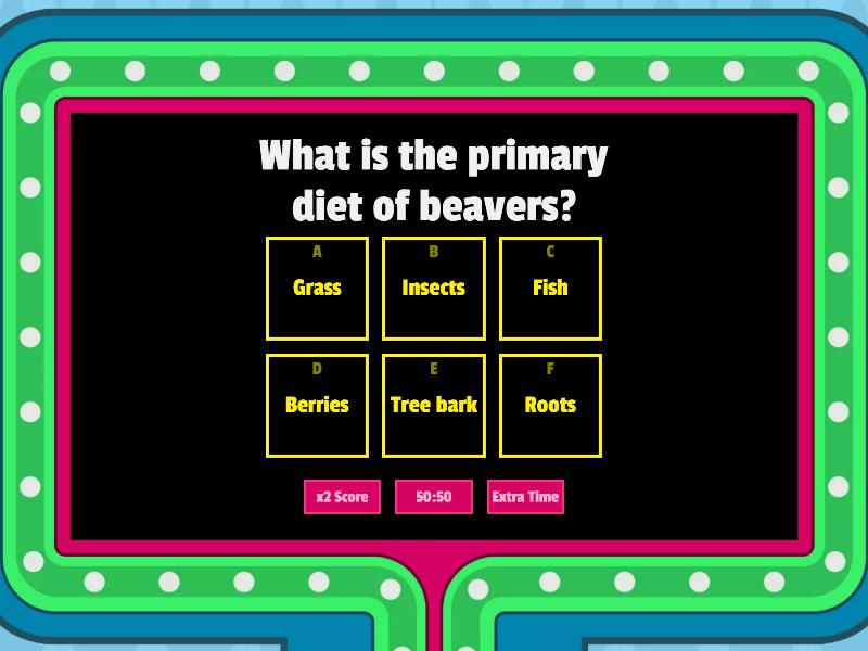 Beaver test 嶺 - Gameshow quiz