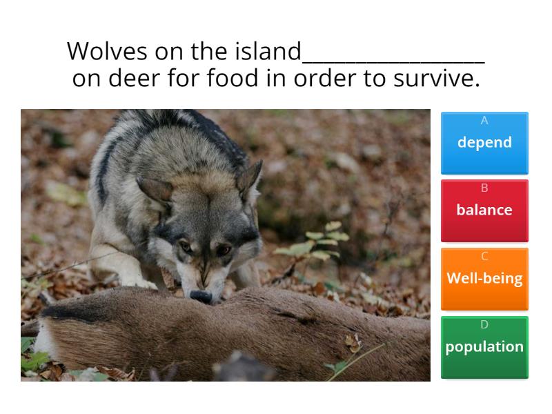 Wolf Island Vocab - Quiz
