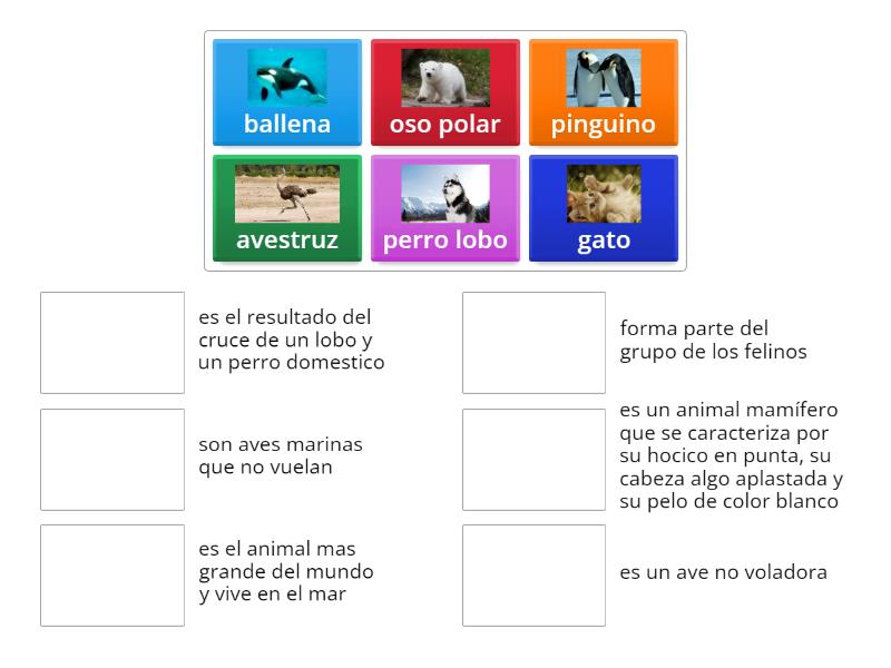 los animales - Match up