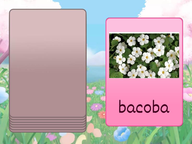 Flower names - Speaking cards