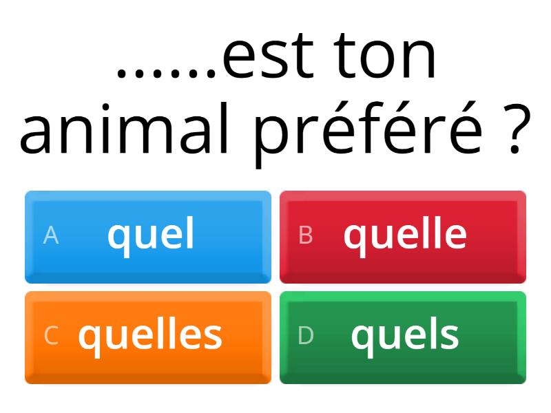 55) Poser des questions (3) avec " quel, quelle, quels, quelles ...