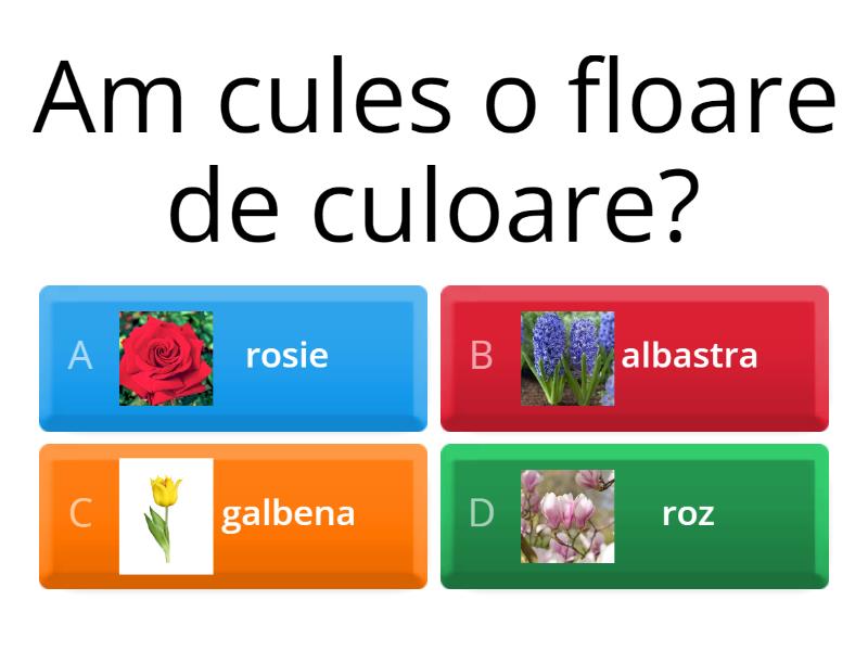 Flori din gradina primaverii - Quiz