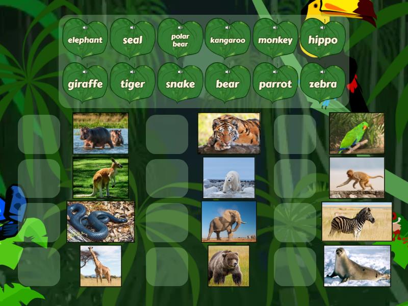 Wild Animals - Match up