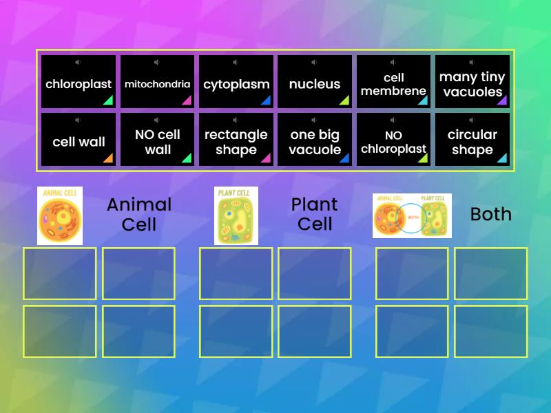 Cell Characteristics - Group sort