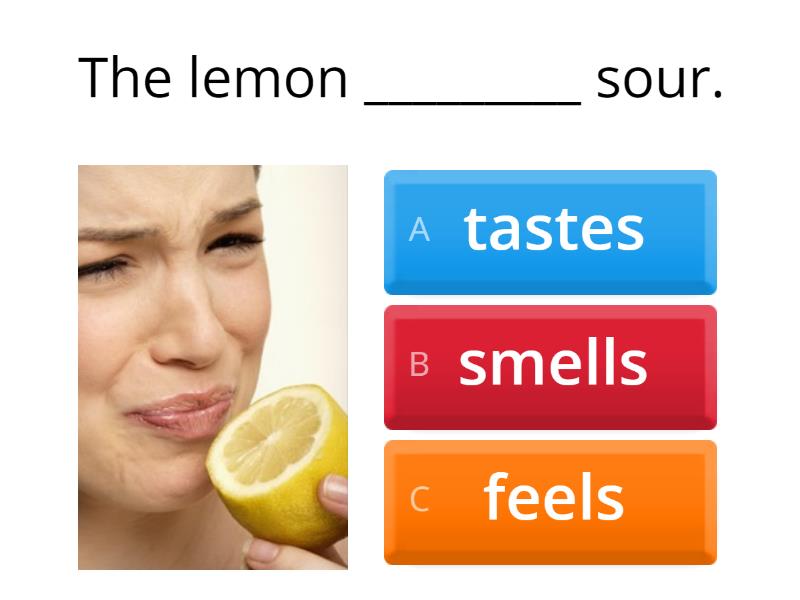 Senses - Cuestionario