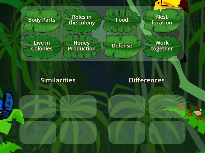 Unit 5- Ants and Bees: Differences and Similarities - 按組排序