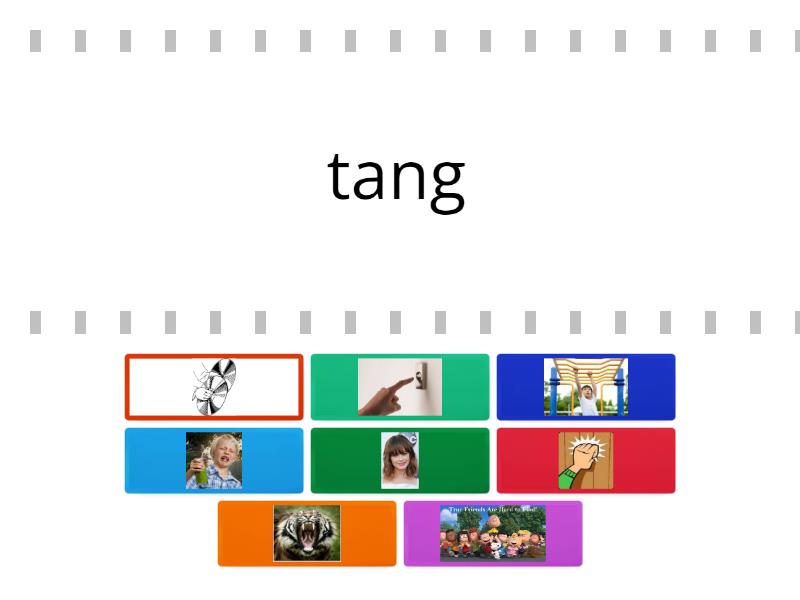 Reading -ang Words - Find the match
