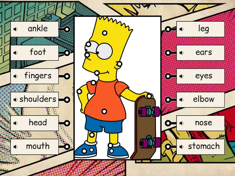Basic 4. Parts of the body - Labelled diagram