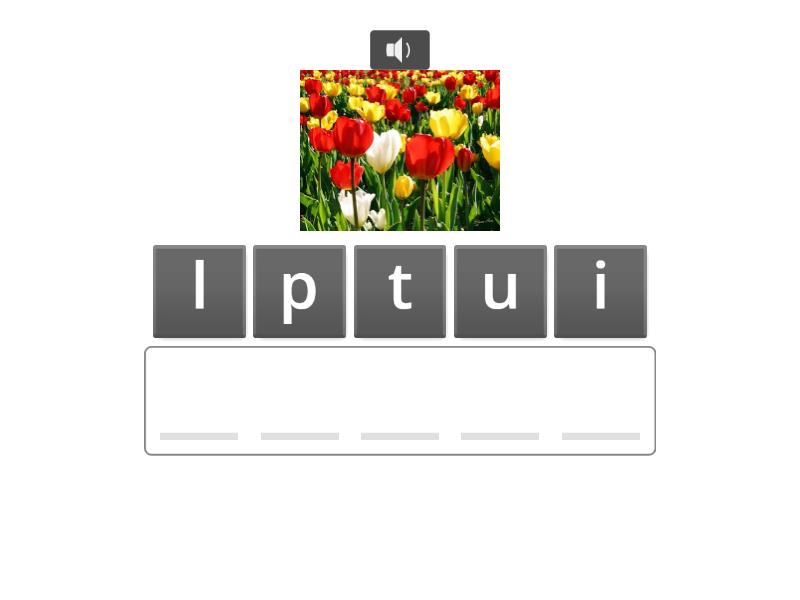 Week 16 - 5/30 (Thurs.) /ū/ sound, spell u, _ue, and _ew & /ow/ sound ...