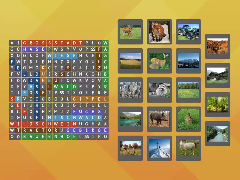 Die Landschaften - Sopa de letras