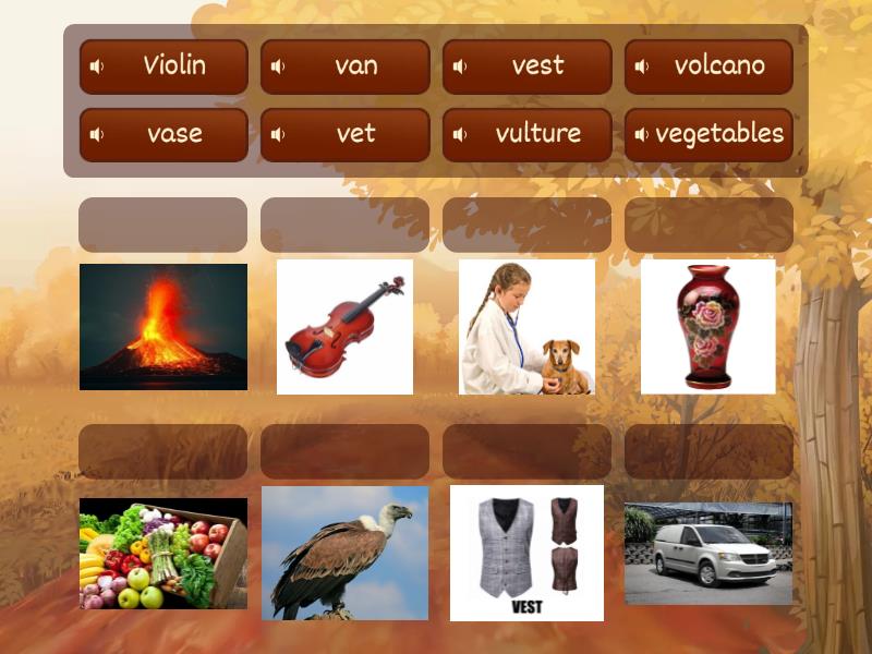 Lesson 21: The v sound - Match up