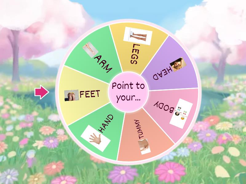 K1 - BODY PARTS WHEEL - Spin the wheel
